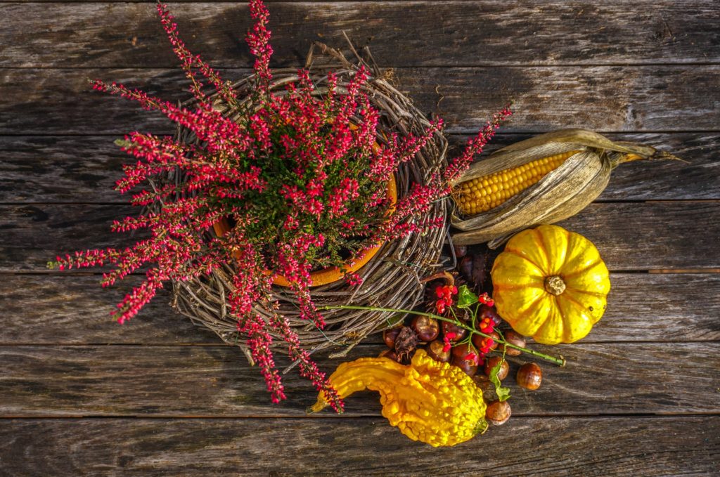 Lessons and Resources to Teach Thanksgiving with Truth and Integrity